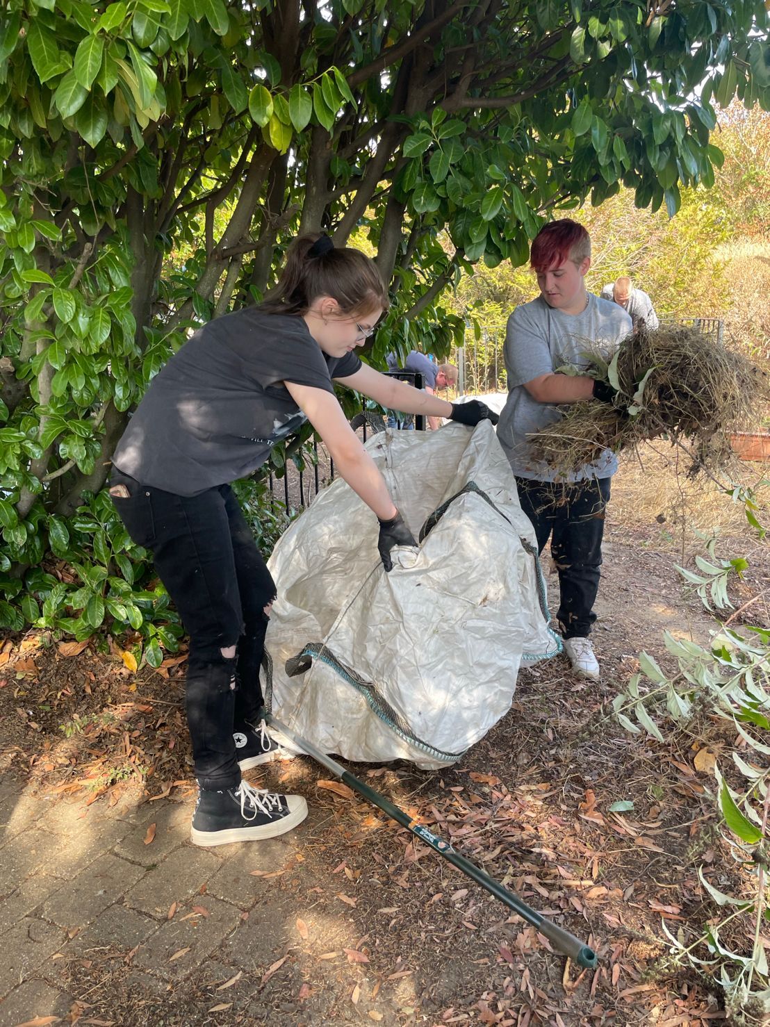 Youth Development Project | Lofty Heights CIC