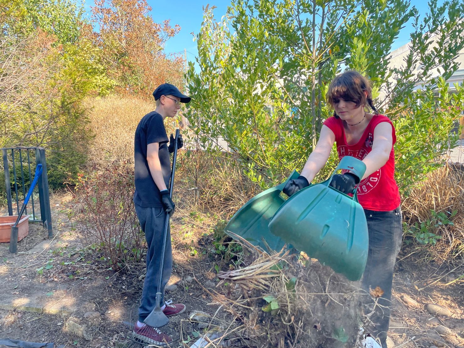 Youth Development Project | Lofty Heights CIC